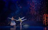 What's on - Scottish Ballet